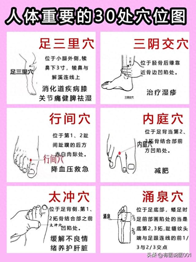 Maps of 30 important acupuncture points on the human body, learn from ...